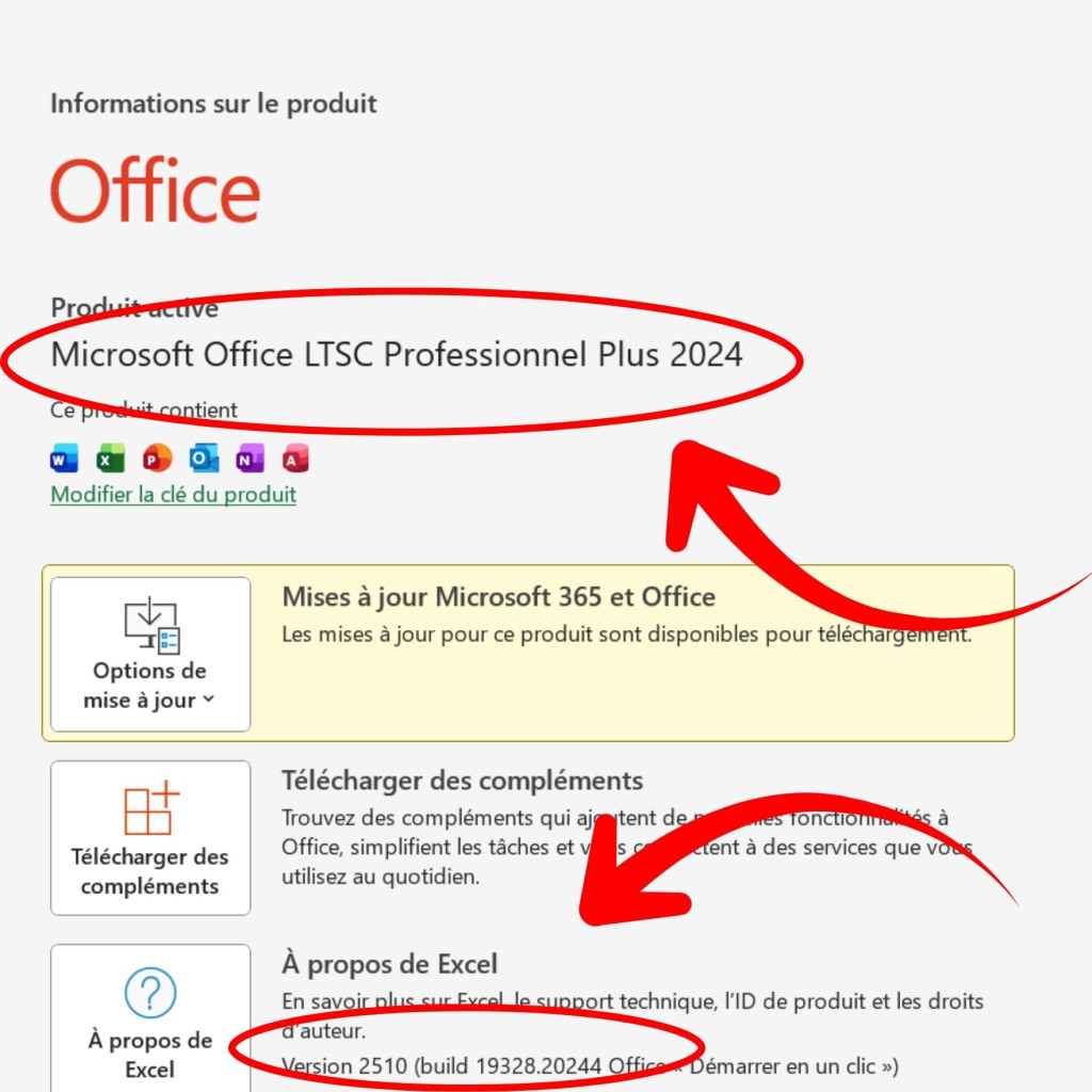 Connaître sa version Excel - Guide rapide | Morpheus Formation