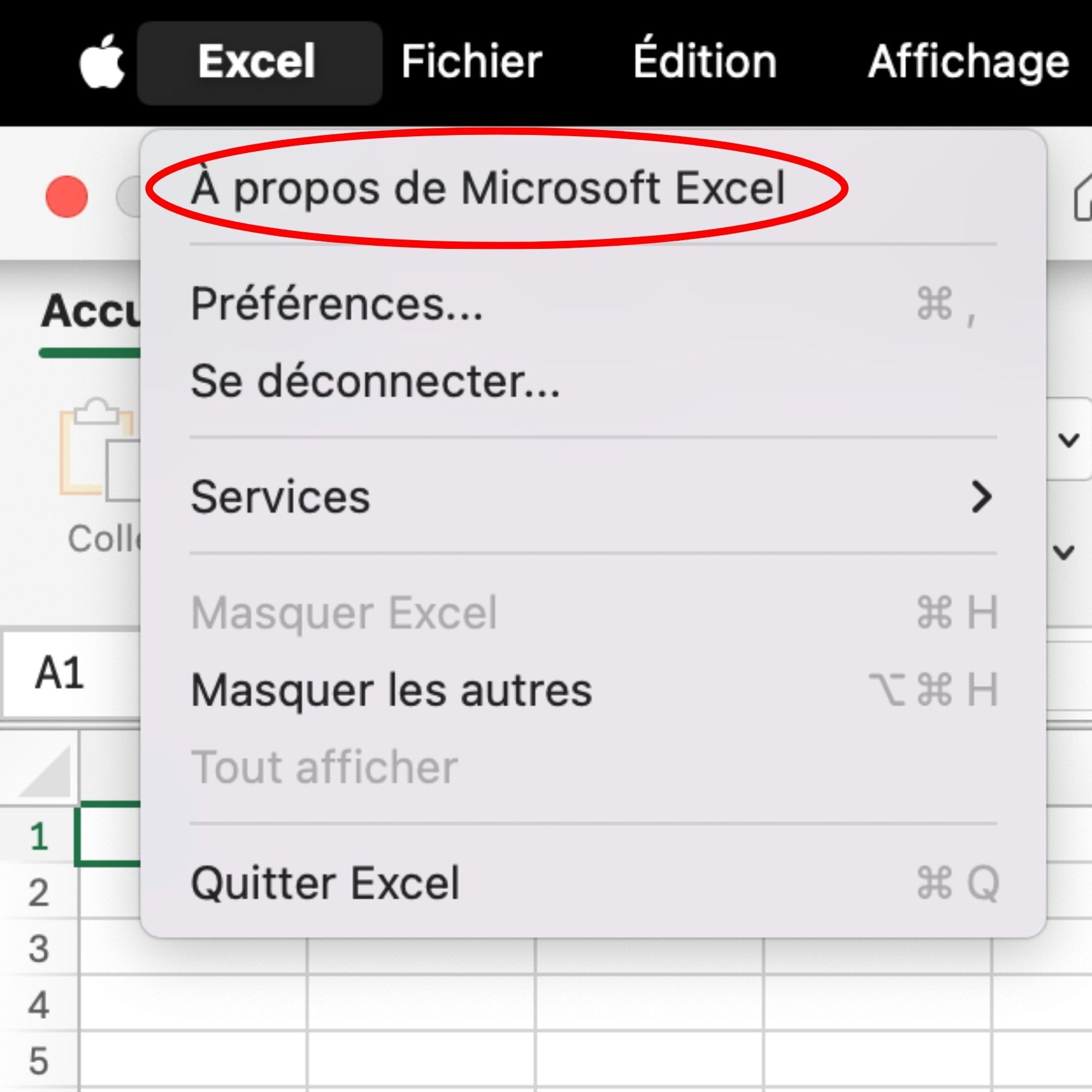Connaître sa version Excel - Guide rapide | Morpheus Formation
